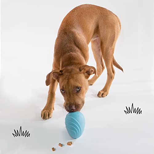 Nylabone Eggi Interactive Fillable Dog Chew Toy - Lightweight Bouncy Floatable Dog Treat Toy for Creative Play & Dog Exercise, Blue, Large/Giant - Up to 50 lbs. (1 Count)