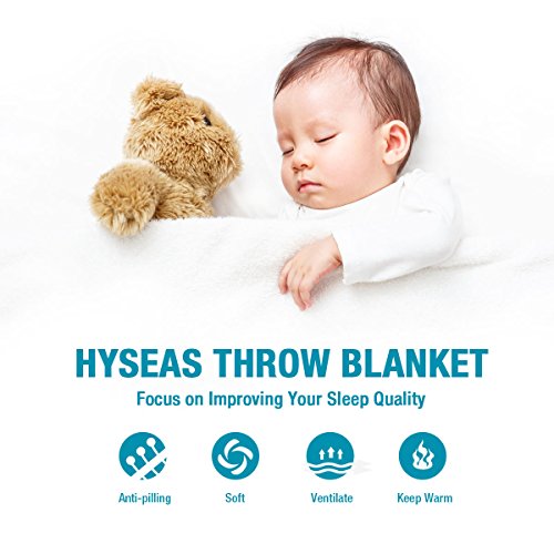 HYSEAS Flannel Fleece Throw Blanket Purple - Super Soft Plush Microfiber Solid Blanket for Couch, Bed, Chair, Sofa - Fuzzy Cozy Lightweight - 50x60 Inch