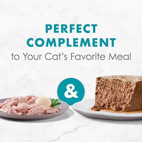 Purina Fancy Feast Wet Cat Food Complement, Appetizers Light Meat Tuna With a Scallop Topper - (10) 1.1 Oz. Trays