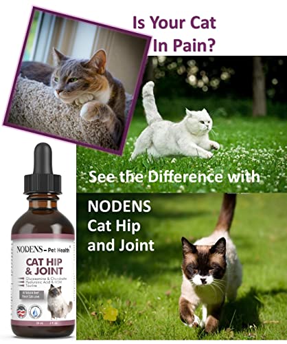 NODENS CAT Hip and Joint Glucosamine for Cats with Chondroitin and Opti-MSM® Hyaluronic Acid for Improved Joint Flexibility and Pain Relief from Inflammation and Cat Arthritis 2 floz