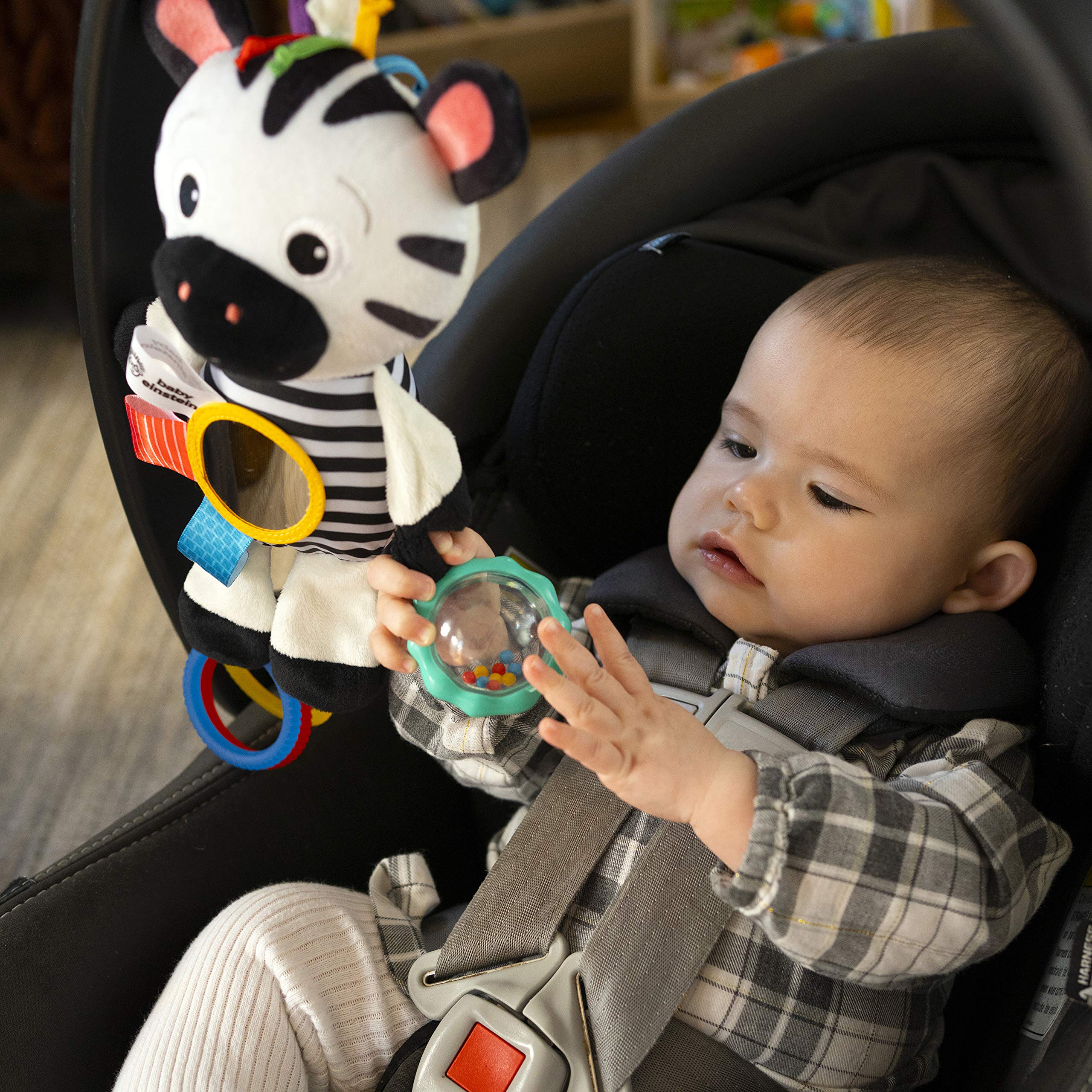 Baby Einstein Zen's Sensory Play Plush Stroller Activity Toy, Ages Newborn, Multicolor,1 Count (Pack of 1)