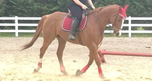 Lift Sports New Horse English Saddle Pad Set Matching Fly Bonnet Veil Ear Net Polyester Hand Made Crochet Full Size Equestrian Shows Tack
