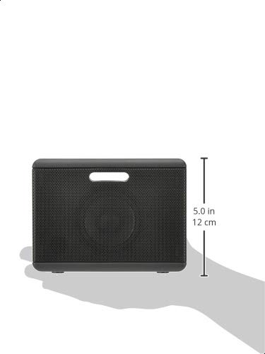 Amazon Basics Acoustic Guitar Amplifier, black (FGA-5B)