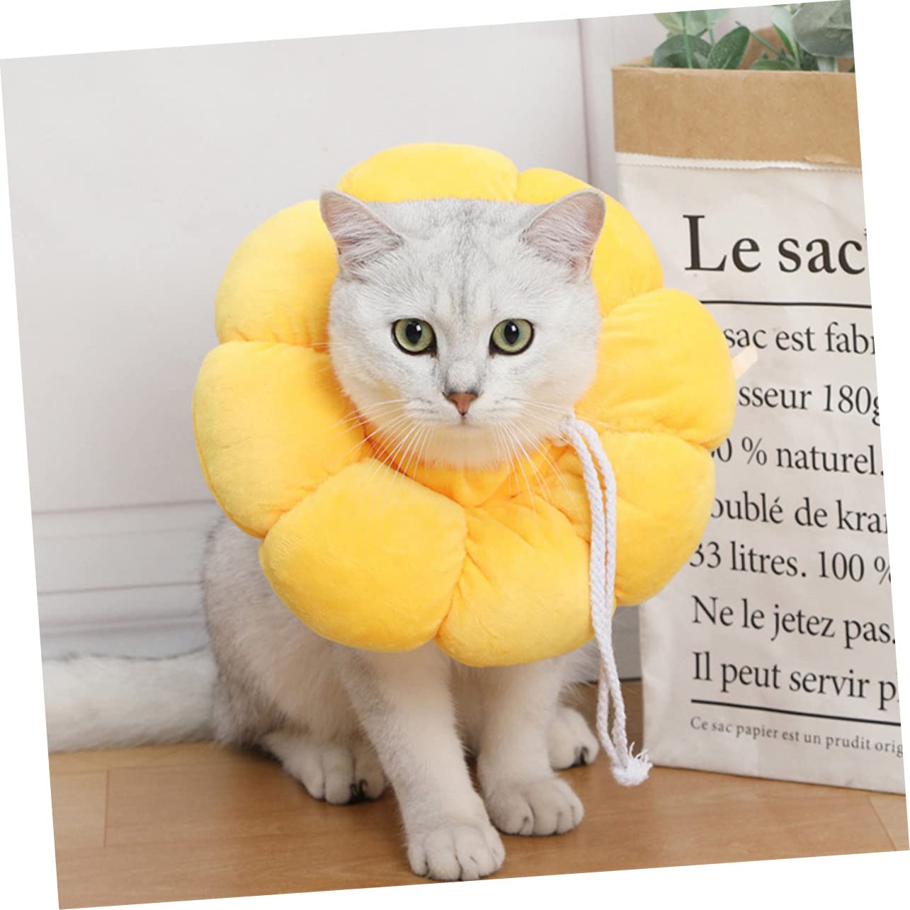 Toddmomy 2pcs Elizabeth Circle Pet Bite Collar Cat Recovery Neck Cone Elizabethan Cat Cone Adjustable Pet Cone Pet Bite Collar Cat Recovery Collar Choker Pp Cotton Kitten