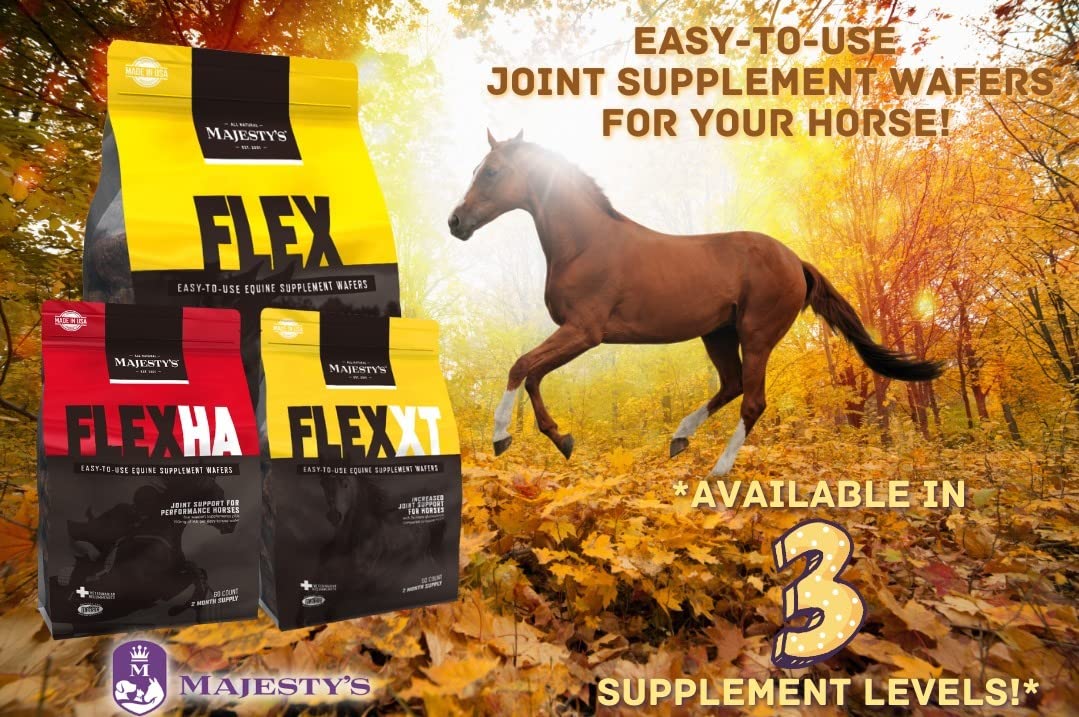 Majesty's Flex Wafers - Superior Horse / Equine Joint Support Supplement - Glucosamine, MSM, Chondroitin, Yucca, Vitamin C - 60 Count (2 Month Supply)