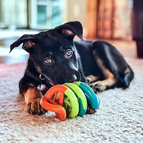 JW Pet Company Dogs iN Action Dog Toy, Small (Colors Vary), multicolor (43144)