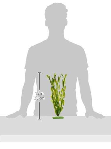 Marina Aquascaper Jungle Vallisneria Plant, 15-Inch