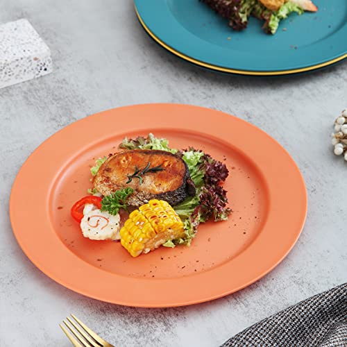 Kyraton 10 Inch Large Plastic Plates 8 Pieces, Dishwasher Safe, Unbreakable And Reusable Light Weight Dinner Plates Microwave Safe BPA Free (Mutil Color)