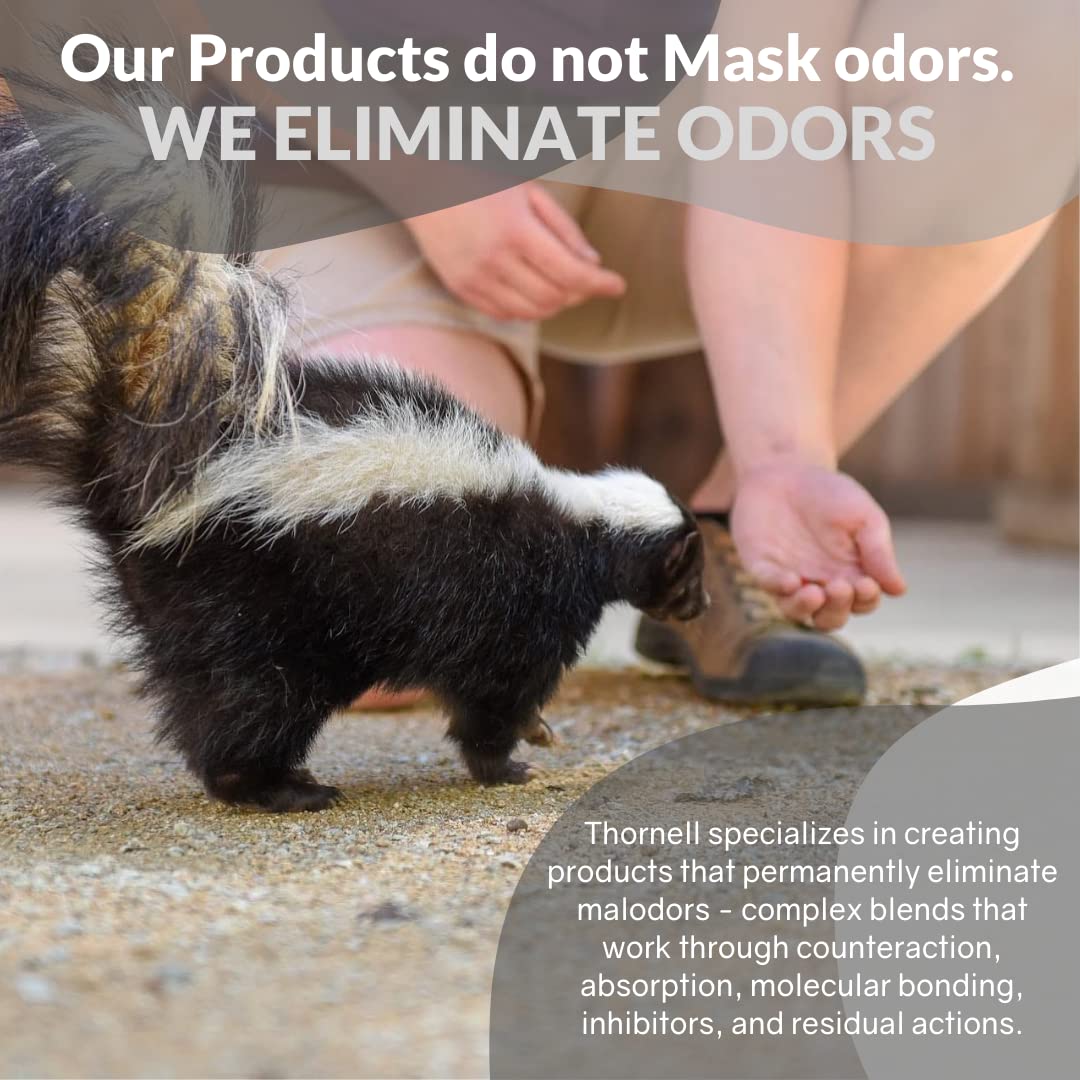 Skunk Off Skunk Odor Eliminator Premise Spray β Ready-to-Use Skunk Odor Remover for House, Outdoors, Cars, Laundry, & More β Skunk Spray w/Safe, Non-Enzymatic Formula (1 Gallon)