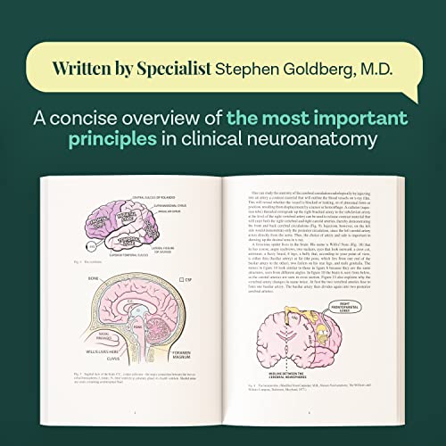 Clinical Neuroanatomy Made Ridiculously Simple: Color Edition