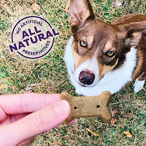 Old Mother Hubbard by Wellness Classic Original Mix Natural Dog Treats, Crunchy Oven-Baked Biscuits, Ideal for Training, Small Size, 6 pound bag