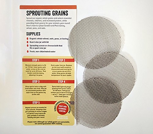 Scratch and Peck Feeds Cluckin' Good Sprouting Fermenting Starter Kit
