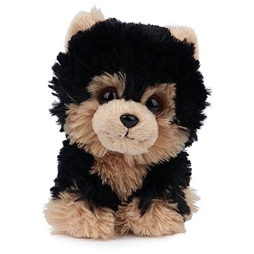 GUND Boo, The Worldâs Cutest Dog, Boo & Friends Collection Yorkie Puppy, Stuffed Animal for Ages 1 and Up, 5â