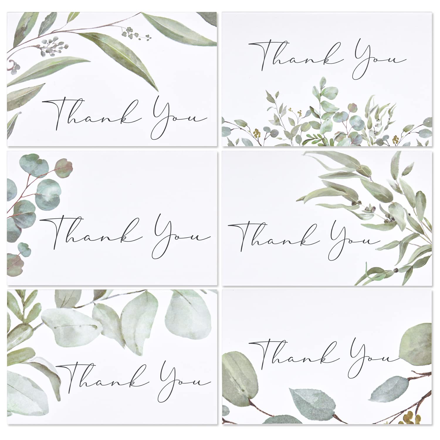 Crisky 50 Pack Greenery Thank You Greeting Cards with Envelopes & Stickers.6 Design Watercolor Greenery Greeting Cards Perfect for: Wedding/BabyShower/Birthday/Graduation. 4x6 Folded, Tented, Bulk