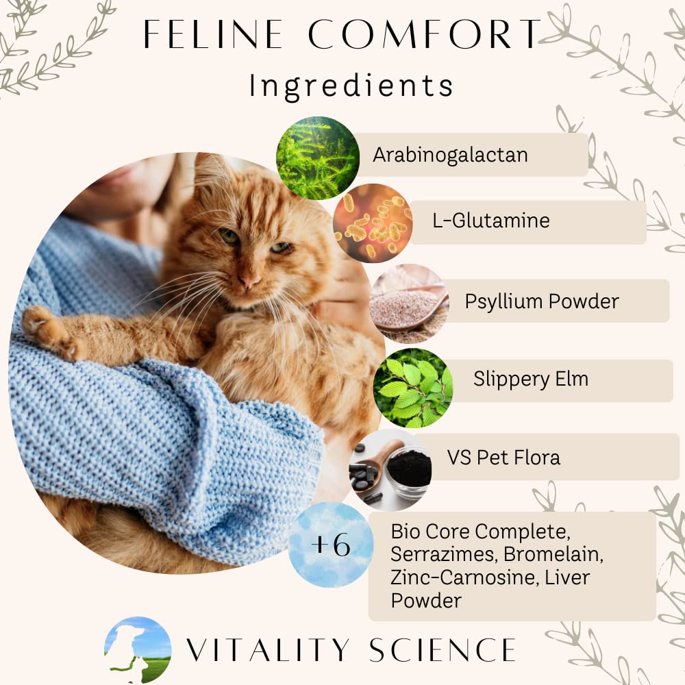 Vitality Science - Gastro Prime Combo for Cats | Supports Normal GI Function and Improves Nutrient Assimilation