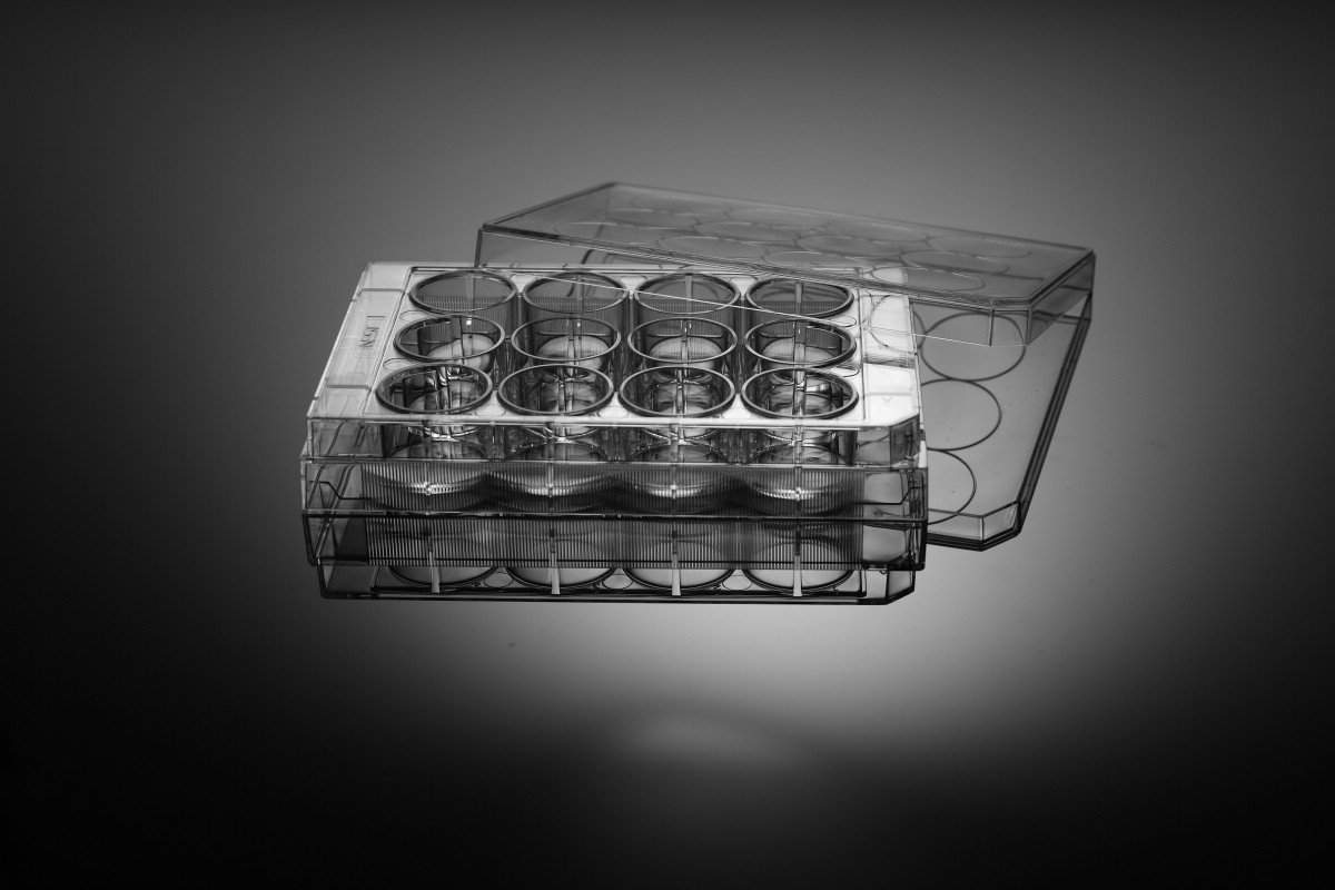 Nest Scientific 712001 Polystyrene 12 Well Cell Culture Plate, Flat Bottom, Tissue Culture Treated, Sterile, Clear, 1 per Pack, 50 per Case (Pack of 50)