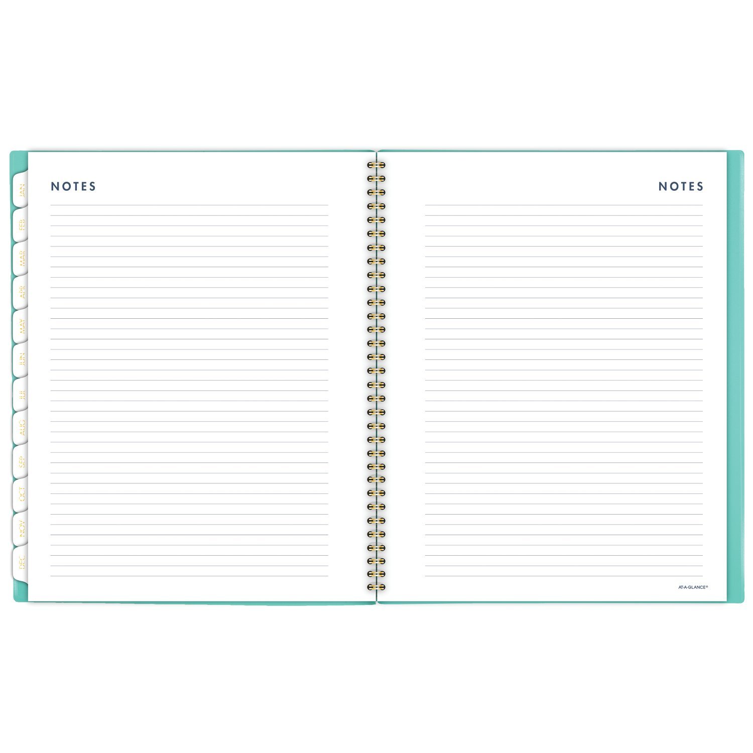 AT-A-GLANCE Weekly / Monthly Planner, January 2018 - December 2018, 8-1/2" x 11", Color Bar, Teal (1078-905-42)