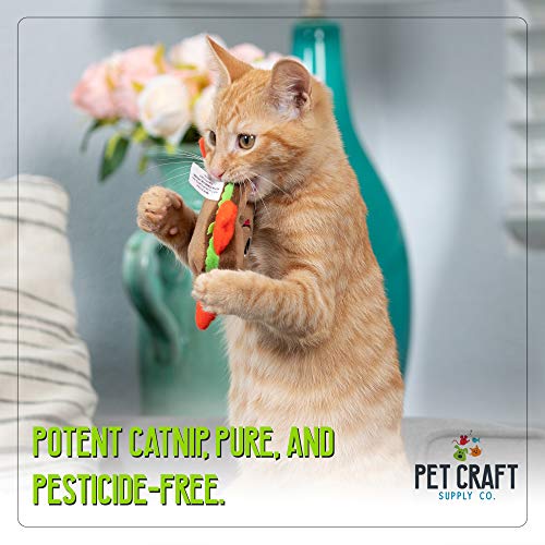 Pet Craft Supply Silly Snacks and Funny Food Crinkle Cuddling Catnip and Silvervine Interactive Cat Toys - Great for Indoor Cats and Kittens, All Breed Sizes