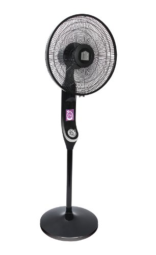 Living Basix LB360 360-Degree Whole Room Pedestal Fan