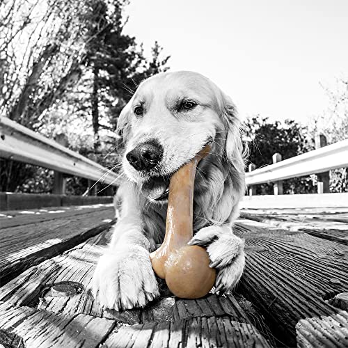 Pet Qwerks Dinosaur BarkBone - Nylon Dog Bone for Aggressive Chewers - Bacon Flavor - 11"