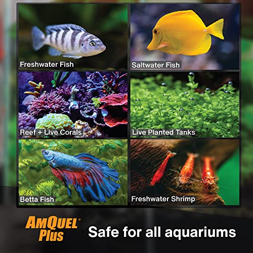 Kordon Amquel Plus Aquarium Water Conditioner - Instantly Detoxifies Ammonia, Nitrite, Nitrate, and Chlorine Remover for Freshwater & Saltwater Aquariums, 1 Gallon