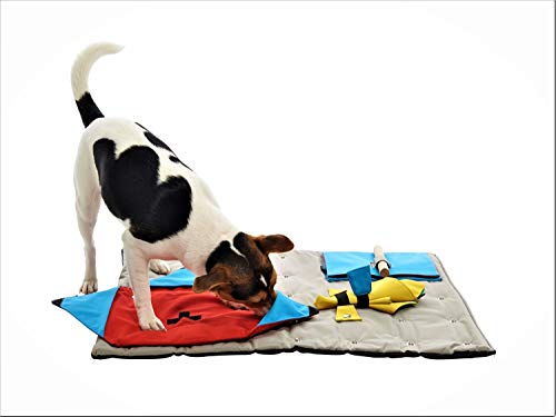 Kruuse Task for Buster Activity Mat, Envelope