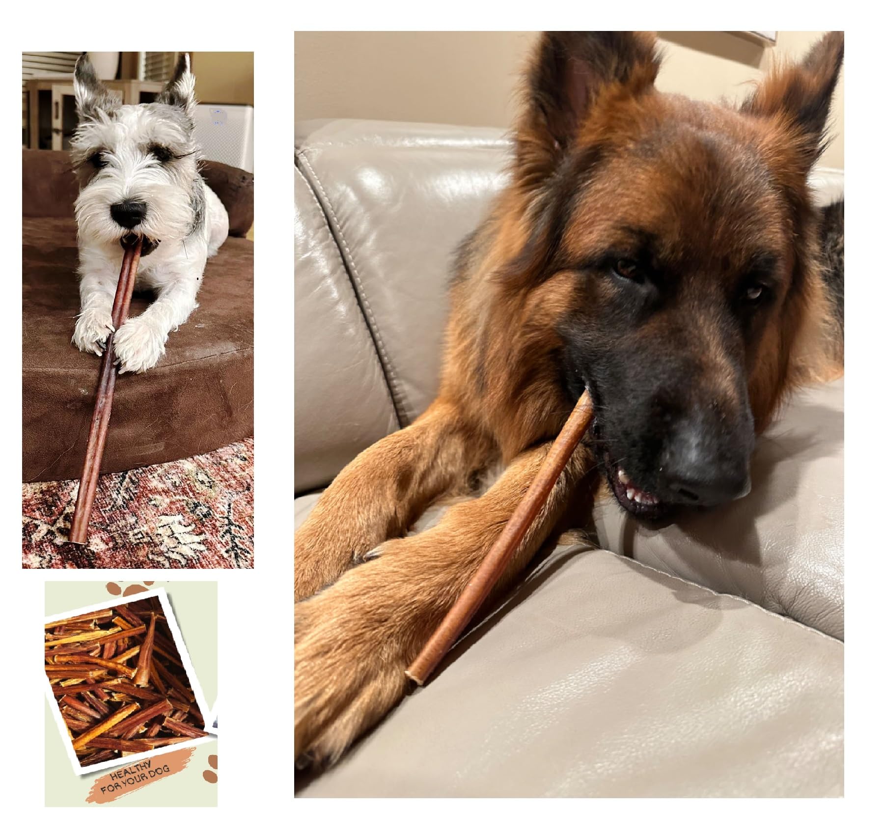 ELITE TREAT Natural Odor Bully Sticks for Dogs,Healthy Long Lasting Pizzle Chews (6 Inch, 24 Pack),All Natural,Free Range 100% Grass-Fed Beef,Grain-Free (Medium/Thin)