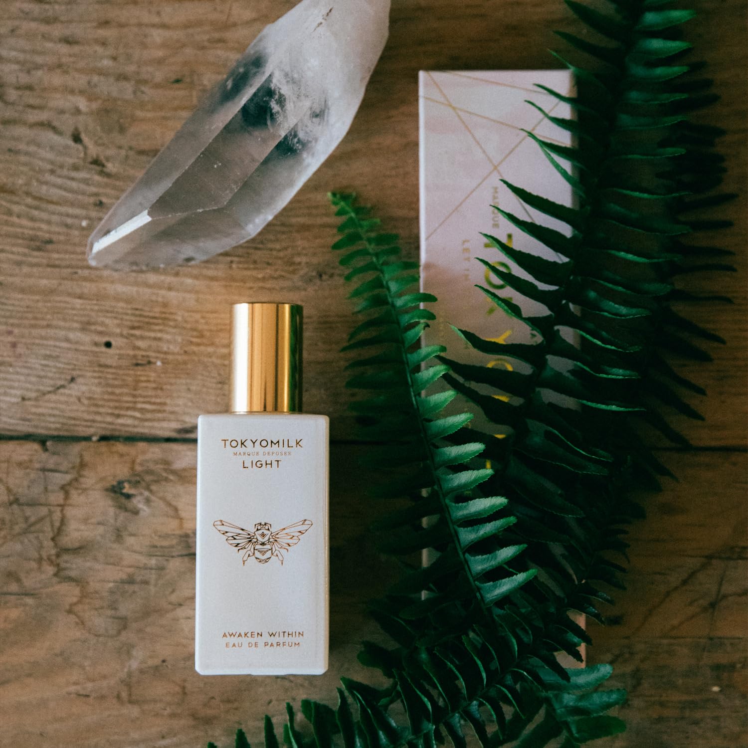 TokyoMilk Light Eau de Parfum | A Transcendent, Delicate Perfume | Enticing Fragrance Notes Form a Refreshing, Sensory Experience | 1.6 fl oz/47.3 ml