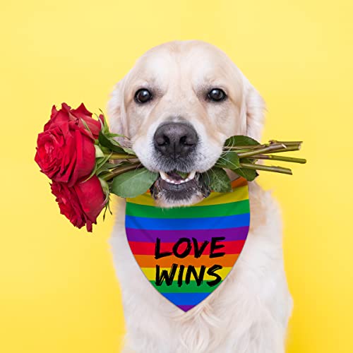 Love Wins Dog Bandana LGBT Rainbow Dog Scarf Pride Day Adjustable Accessories for Small Medium Dogs Cats Pets