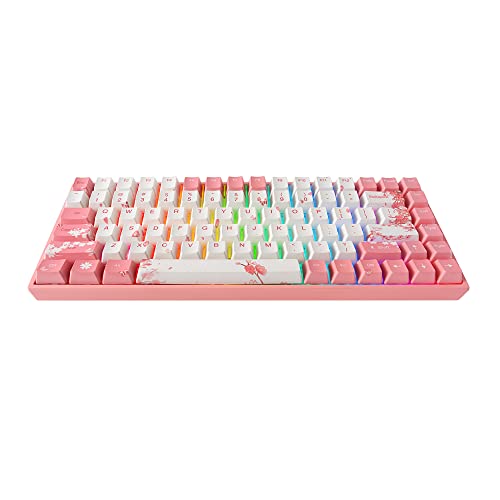 BOYI KD84 Hot Swappable 75% Compact Gateron Yellow Switch Keyboard, Bluetooth 5.0/Wireless 2.4G/Wired Type-C Tri-Mode N-Key Rollover RGB Mechanical Gaming Keyboard (Peach Blossom OEM Keycaps)