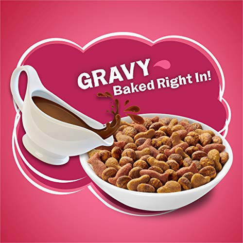 Purina Friskies Dry Cat Food, Gravy Swirlers - 16 lb. Bag