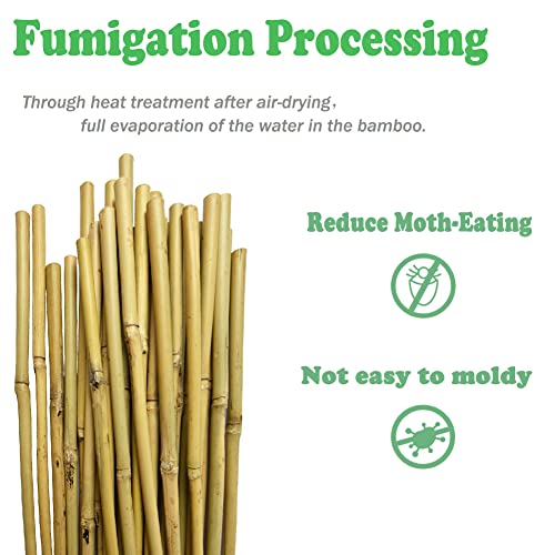 Jollybower 3/4" D Thicker Heavy Duty Bamboo Stakes,6FT Plant Stakes,Natural Garden Stakes for Tomato,Bean,Flowers,Trees Potted and Climbing Plant Support-Pack of 9 Bamboo Stick