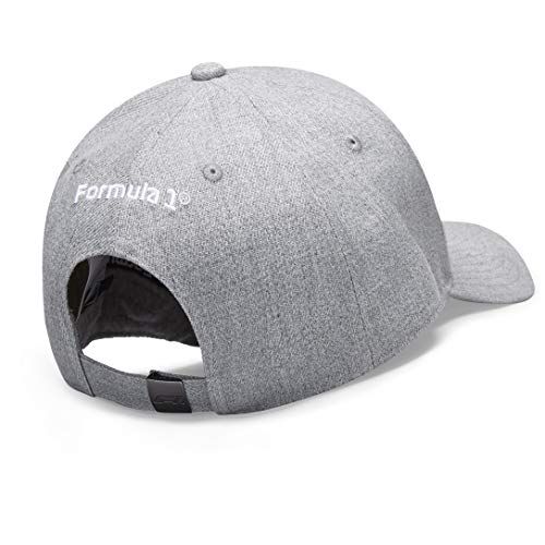 Formula 1 Tech Collection F1 Logo unisex-adult Hat Gray