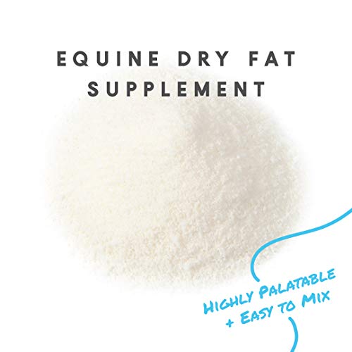 Manna Pro Cool Calories 100 | Equine Dry Fat Supplement for Healthy Weight Gain | 8 Pounds