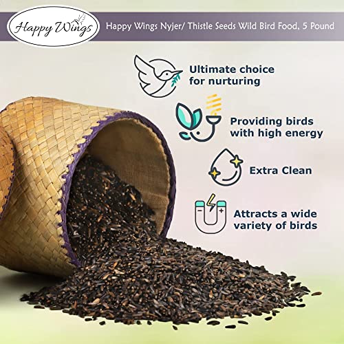 Happy Wings Nyjer/Thistle Seeds with Empty Sock for Wild Bird Food - 5 Pounds I No Grow Seed