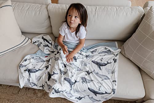 Pobi Baby Premium Baby Blanket, Soft Stretchy Quilt for Babies, Toddlers, Kids (Seaside)