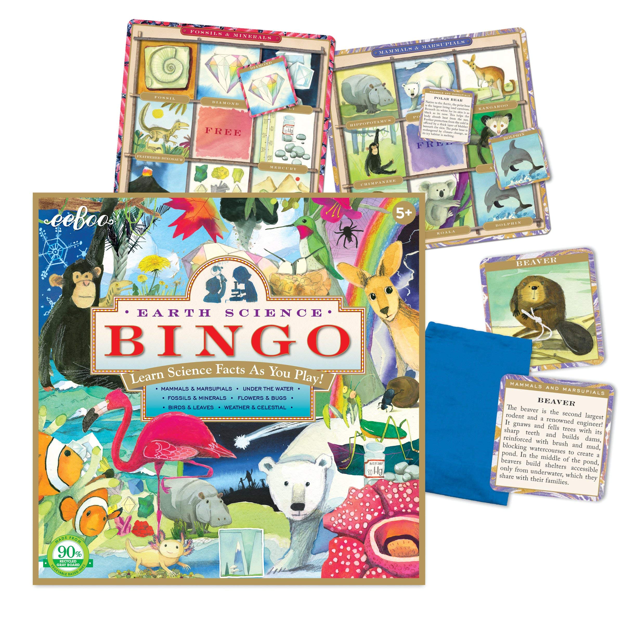 eeBoo: Natural Science Bingo Game, for 2 to 4 Players, Learn Science Facts as You Play, for Ages 5 and up, Includes Cloth Bag for Holding Tiles