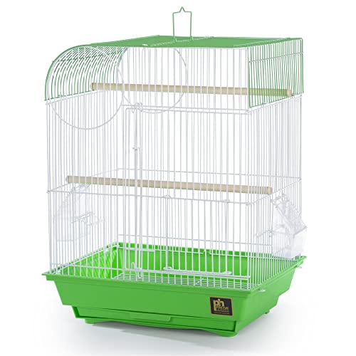 Prevue Pet Products South Beach Flat Top Bird Cage, Lime Green (SP50091),14 1/8" L x 11 1/4" W x 18 1/8" H