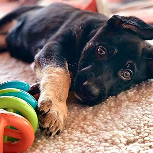 JW Pet Company Dogs iN Action Dog Toy, Small (Colors Vary), multicolor (43144)