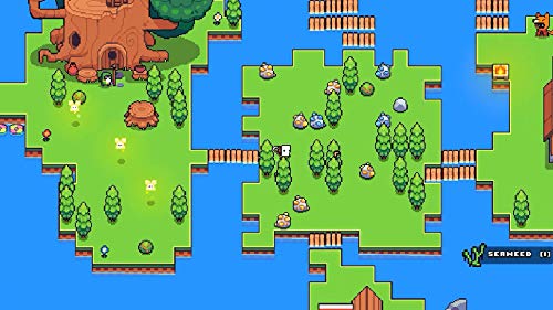 Forager (Nintendo Switch)
