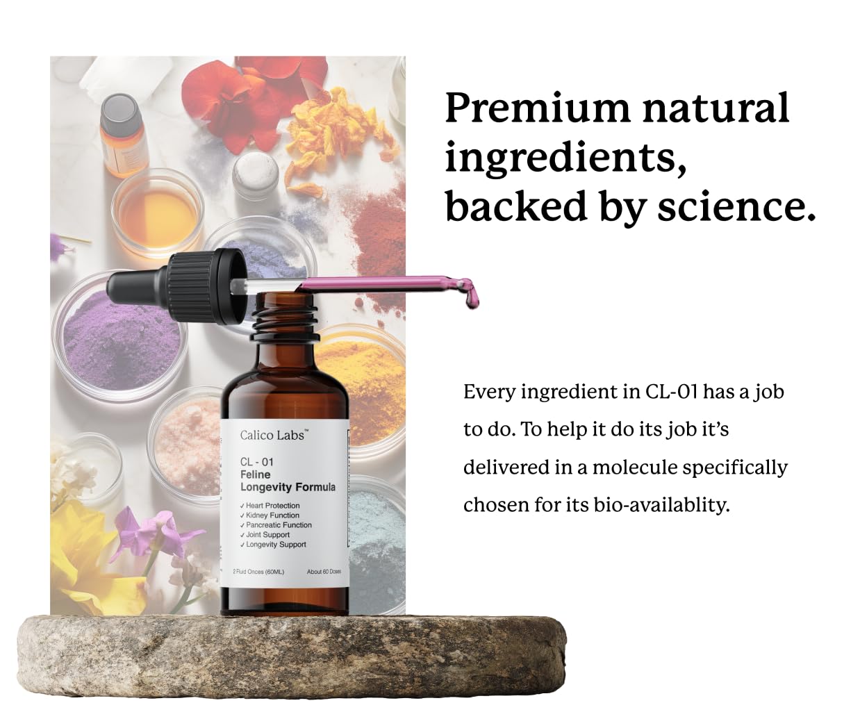 Calico Labs - Veterinarian Approved - Complete Feline Longevity Support. Supports Heart, Kidney, Joint, & More (60 Servings)