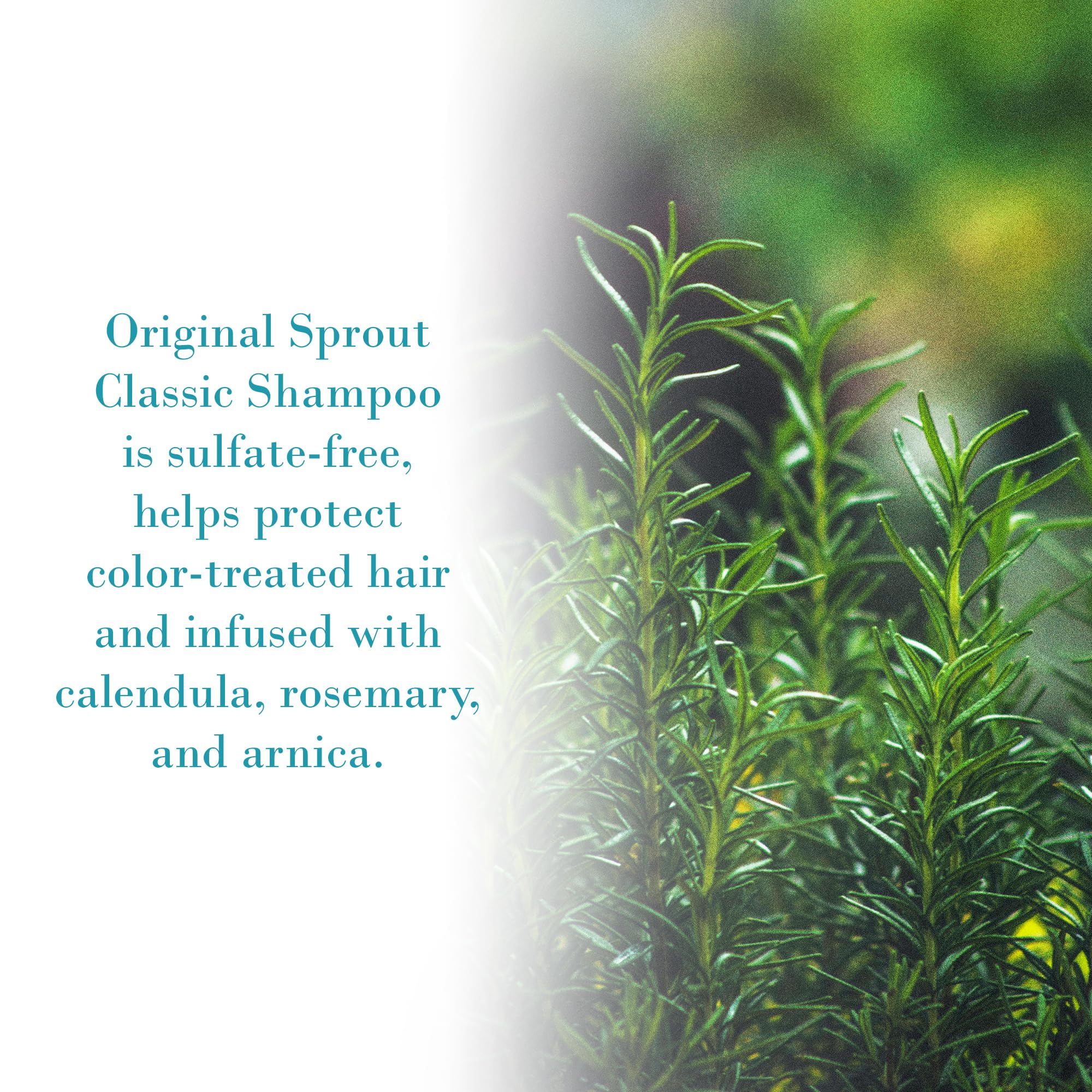 Original Sprout Classic Shampoo for All Hair Types, Sulfate Free and Vegan Shampoo, 12 oz. Bottle