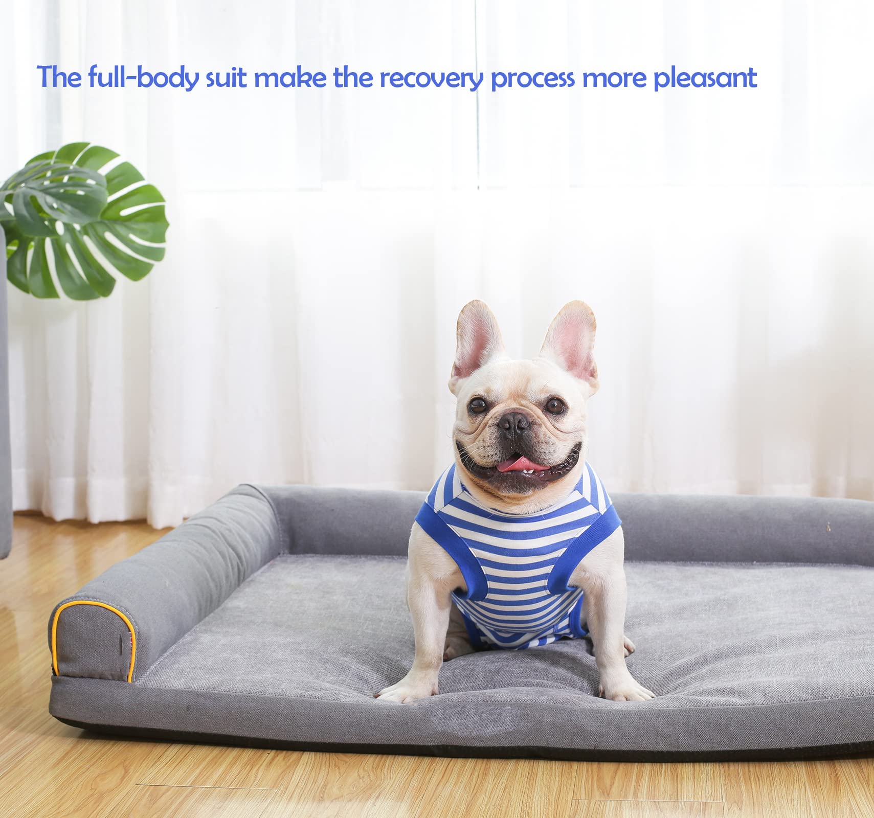 Sychien Dog Recovery Suit Post Surgery Shirt for Puppy,Small Female Male Wound Protective Suit,Blue S