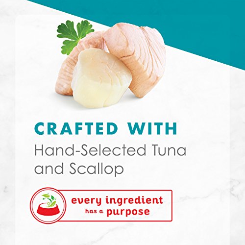 Purina Fancy Feast Wet Cat Food Complement, Appetizers Light Meat Tuna With a Scallop Topper - (10) 1.1 Oz. Trays