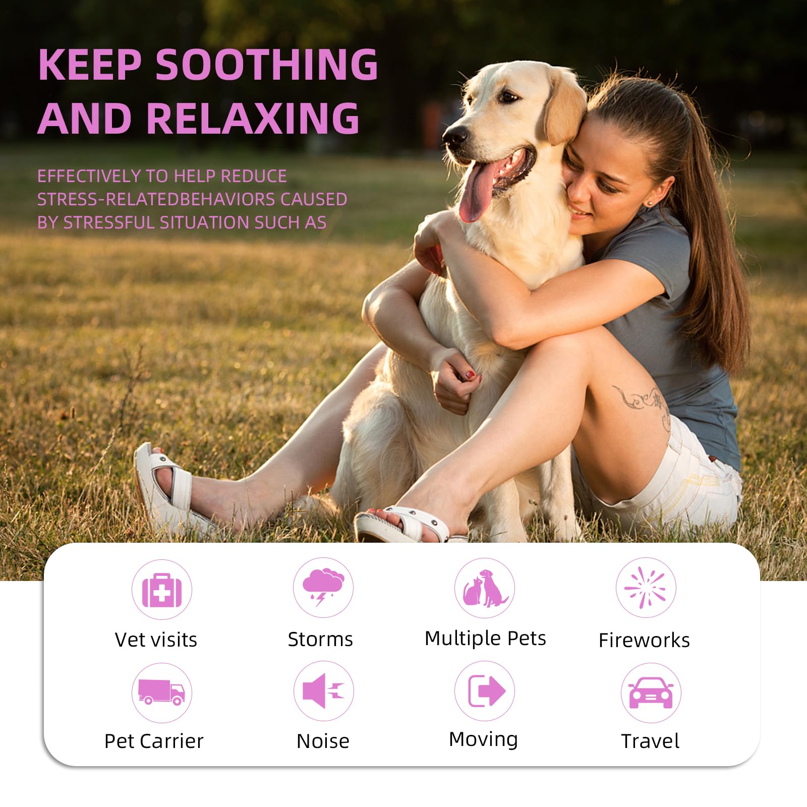 Calming Collar for Dogs 3 Packs Pheromone Collars Appeasing Dog Separation Anxiety Relief Stress 30 Days Calm Pheromones Relax Breakaway Design Adjustable Size Fit Medium Large Small Puppy (Purple)