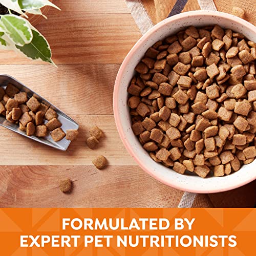 Nature′s Recipe Dry Dog Food, Grain Free Chicken, Sweet Potato & Pumpkin Recipe, 24 lb. Bag