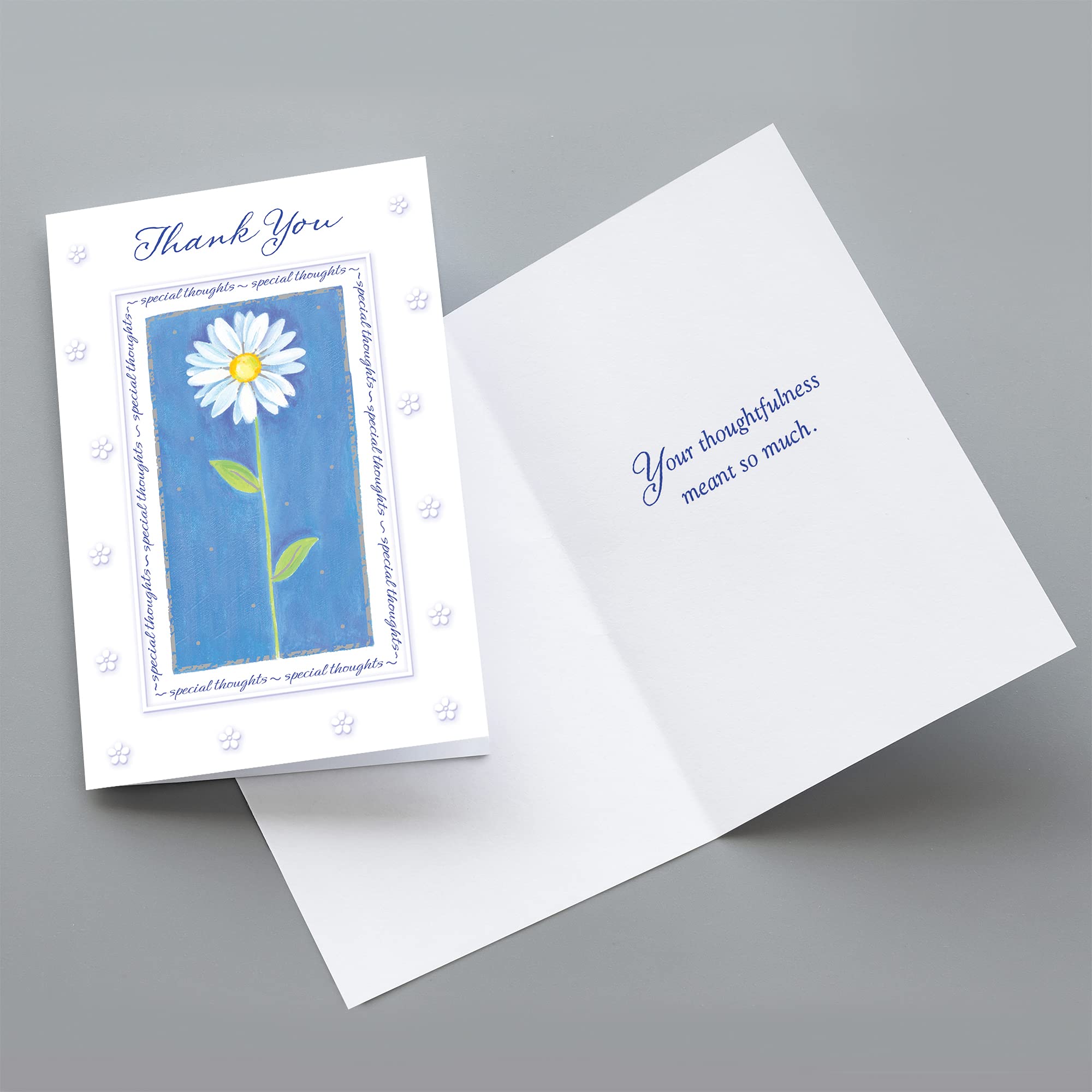 Designer Greetings Thank You Cards, Special Thoughts Meant So Much Message for Any Occasion (8 Daisy Thank-You Notes and Envelopes)