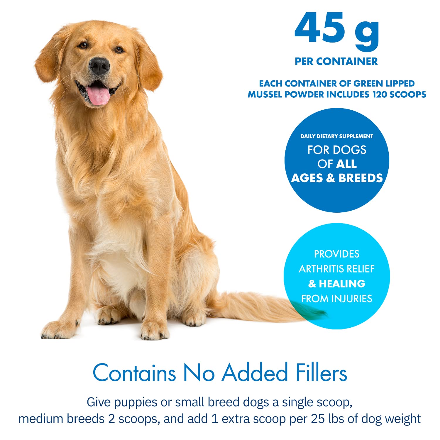 Equa Holistics Green Lipped Mussel Powder for Dogs, All-Natural Hip & Joint Support Dietary Supplement Formula for Dogs (120 Servings)