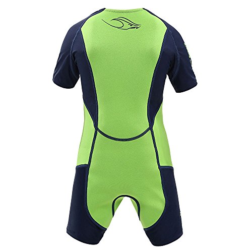 Aqua Sphere Stingray Short Sleeve Wet Suit, Green Short Sleeve, 4 (Model: SJ21331044Y)