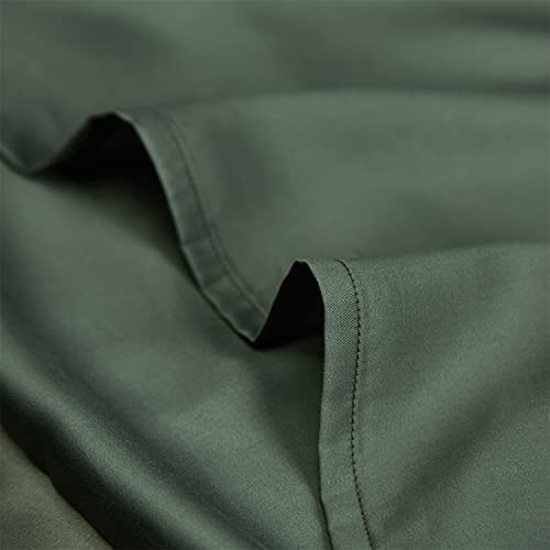 DISANGNI 100% Mulberry Silk Silk Pillowcase, Used for Hair and Skin, Envelope Type, Silk on one Side and Tencel on The Other Side, Count 600, 1pc (Green, Queen(50x75cm))